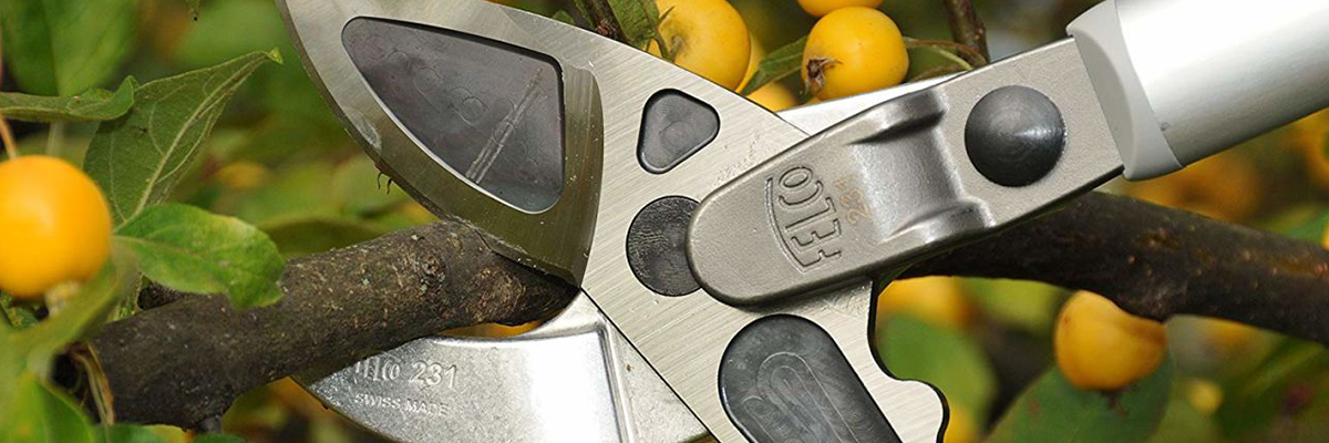 Budama fidancidan.com'da